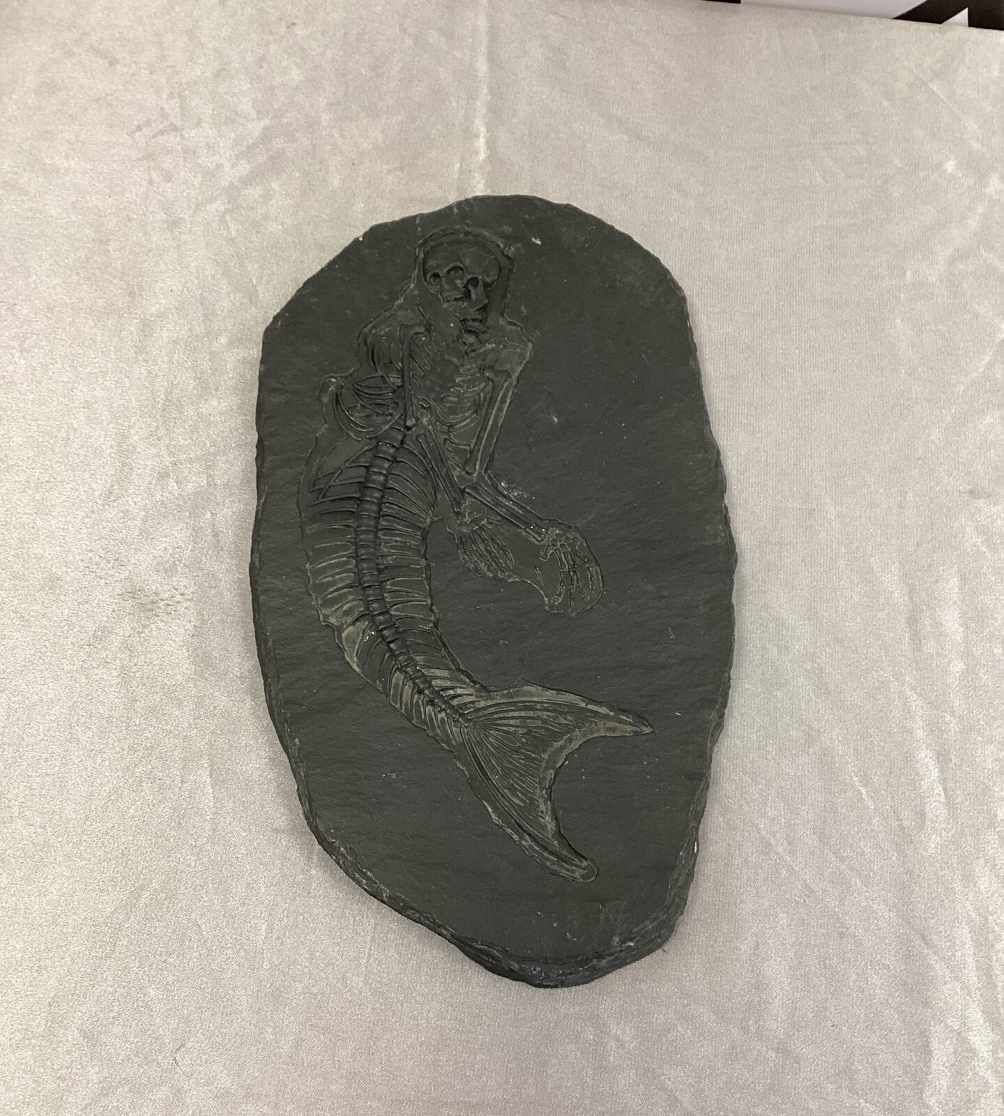 Halfman half fish Chimera Fossil – Badgers Auctions