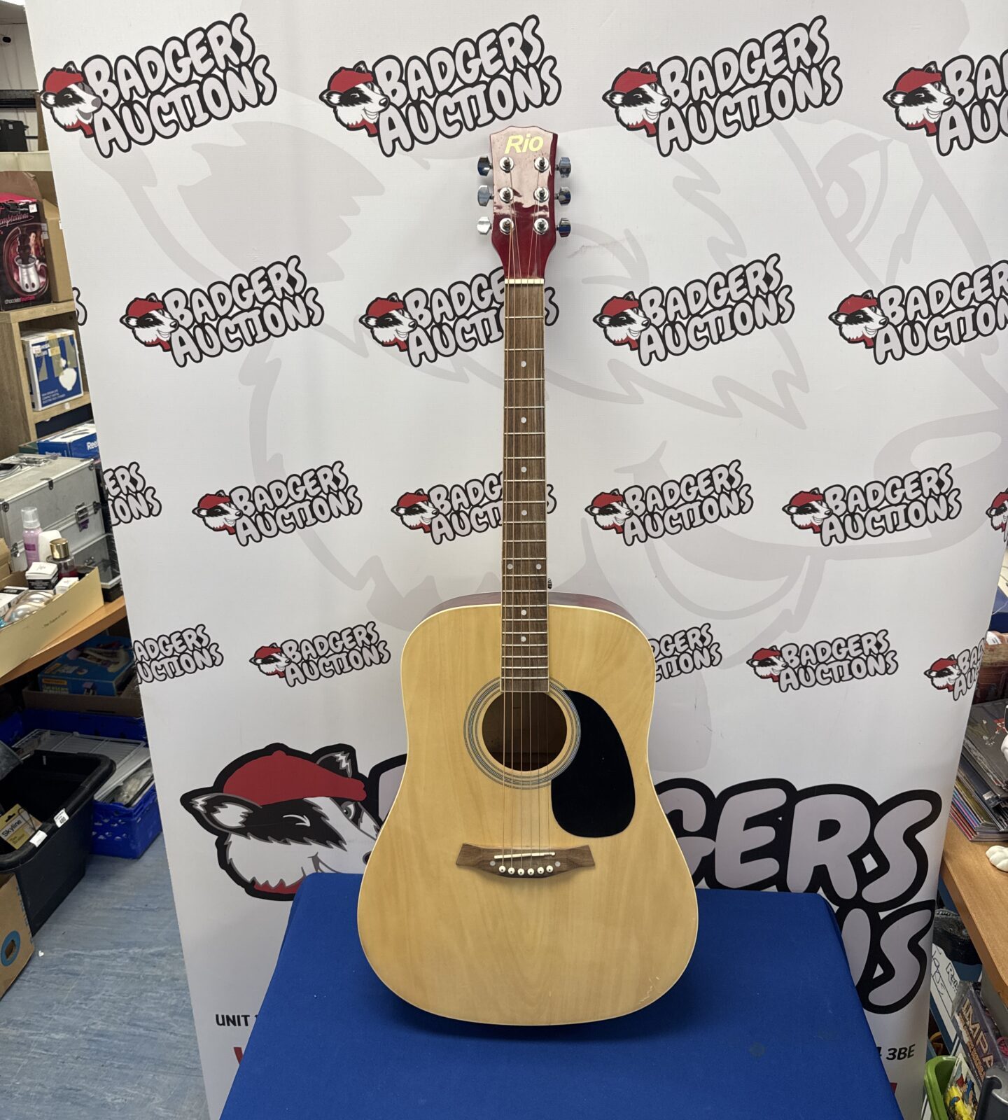 Rio acoustic guitar – Badgers Auctions