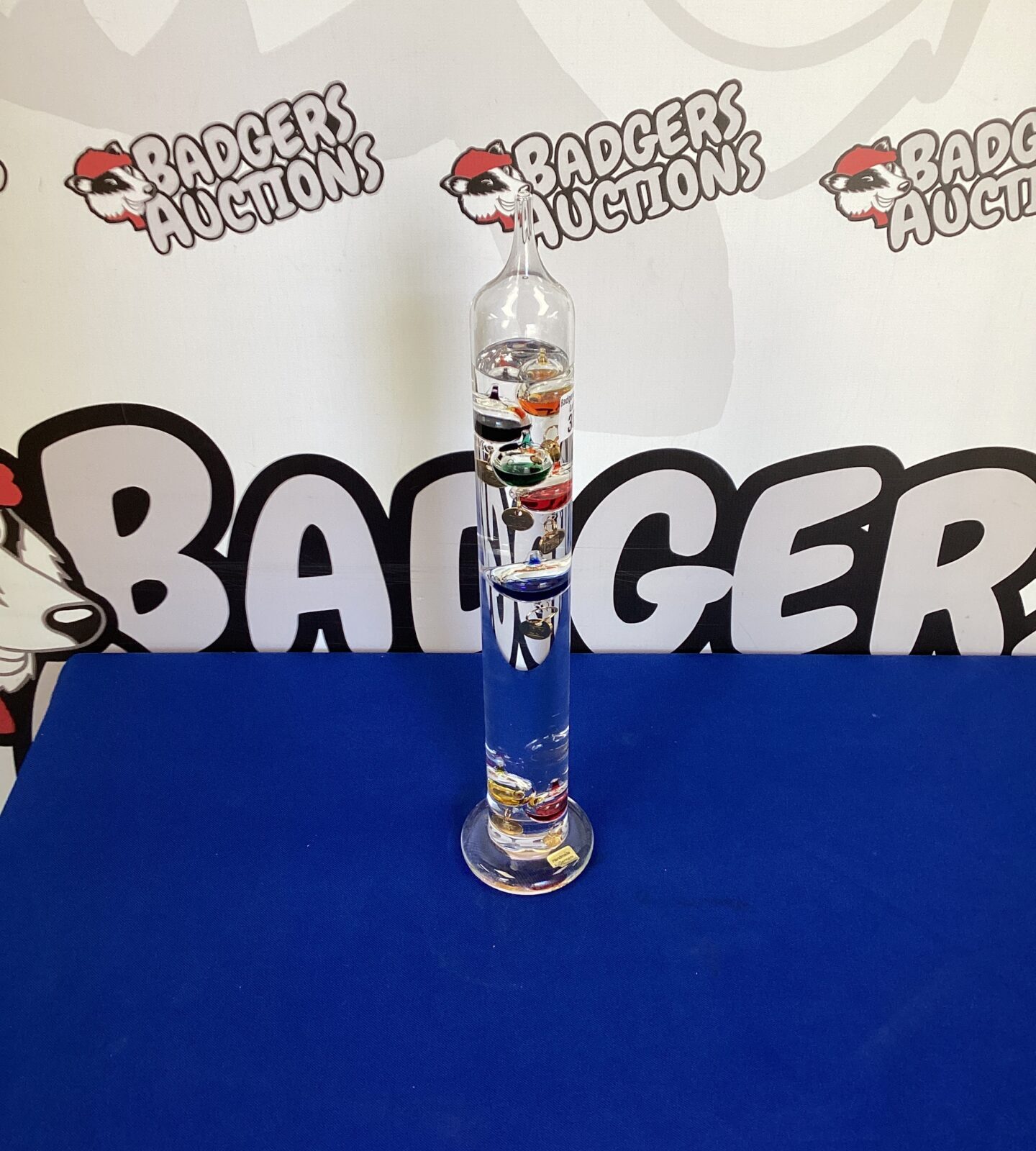 Handmade Galileo Thermometer – Badgers Auctions
