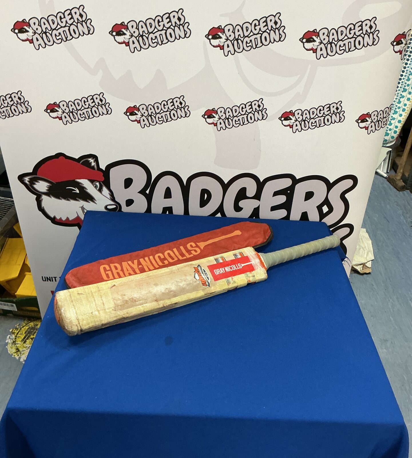 Gray Nichols Cricket Bat with cover – Badgers Auctions