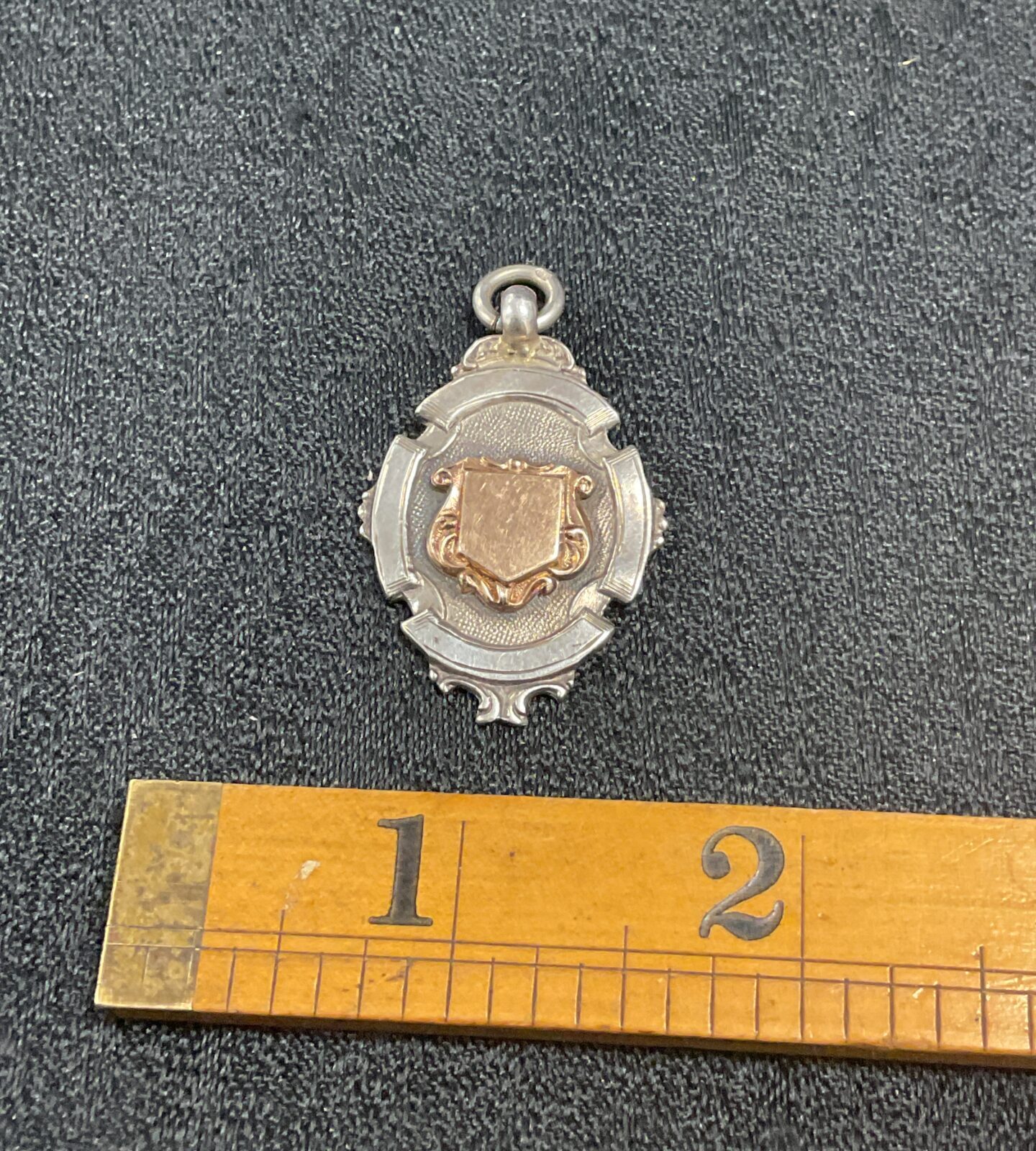 Thomas James Skelton Chester Hallmark 9 carat gold and silver fob medal ...