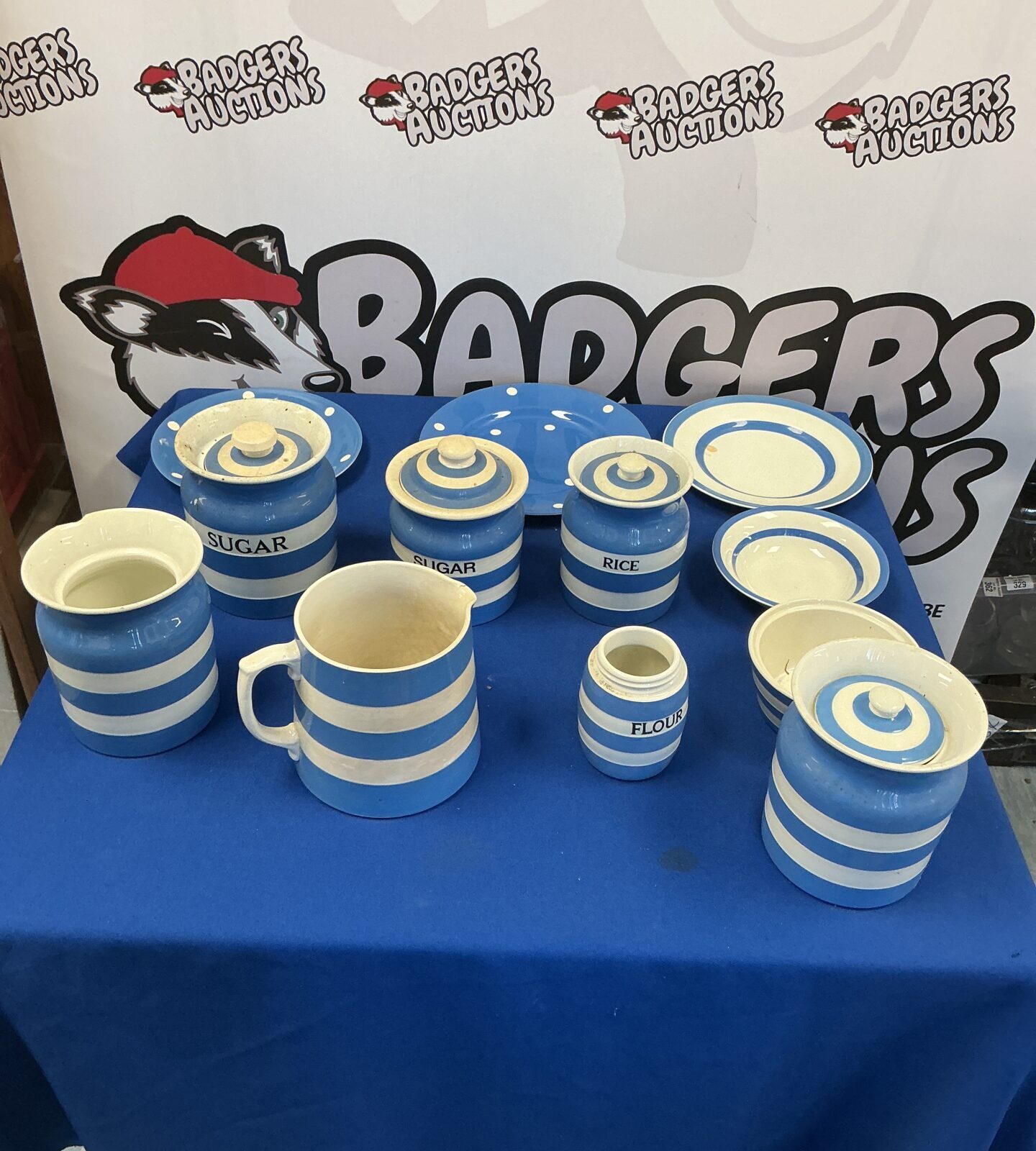 Quantity of Blue and White Cornish Pottery – Badgers Auctions