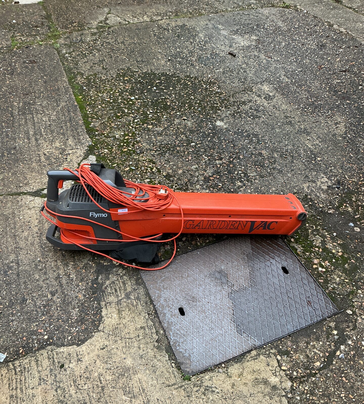 Flymo electric lawn vac – Badgers Auctions