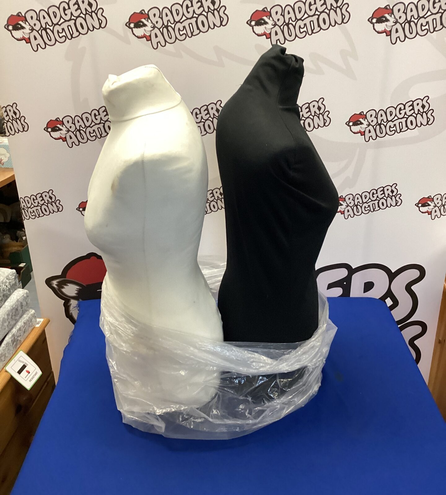 Two female mannequin torsos – Badgers Auctions