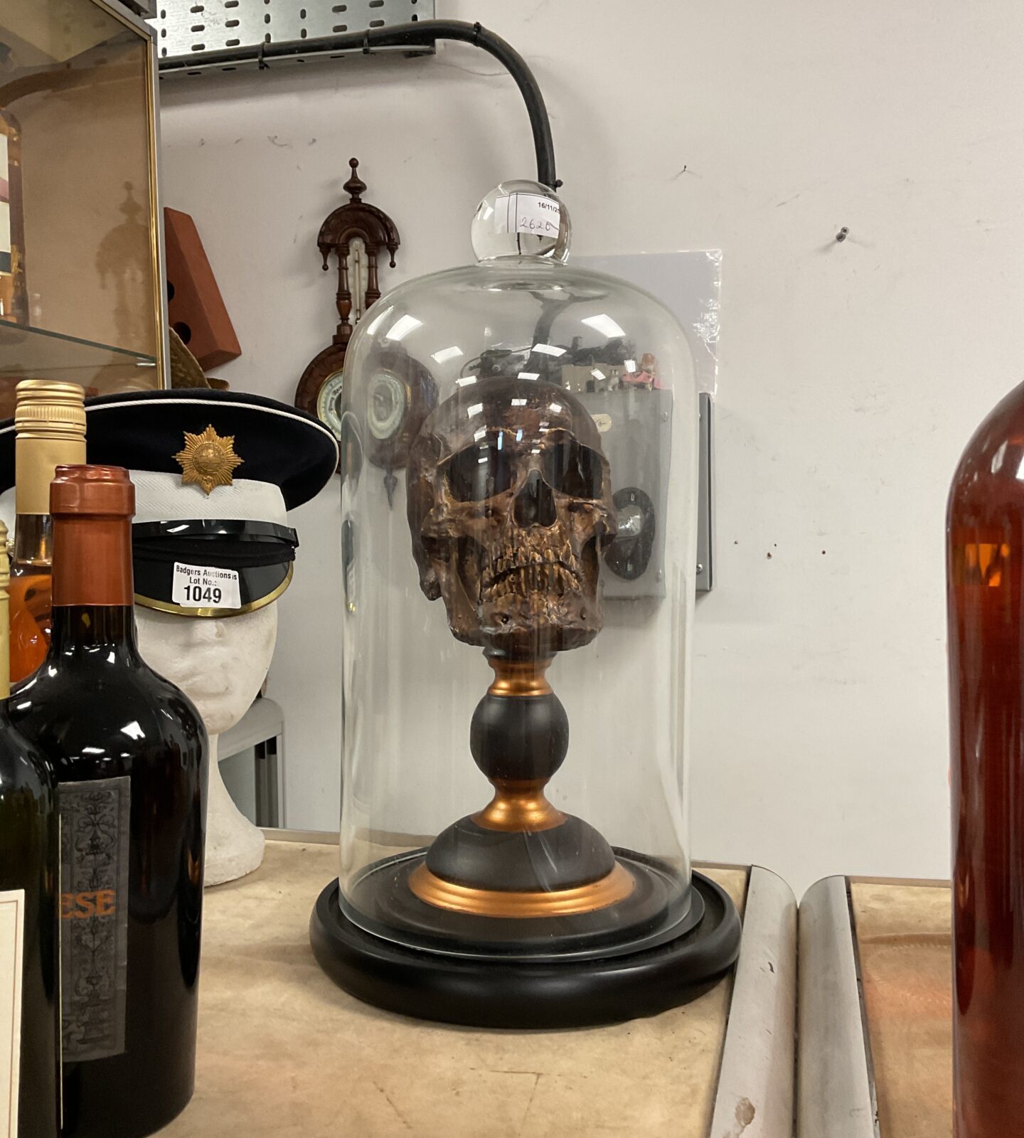 Life-size resin skull ornament on plinth inside glass dome – Badgers ...