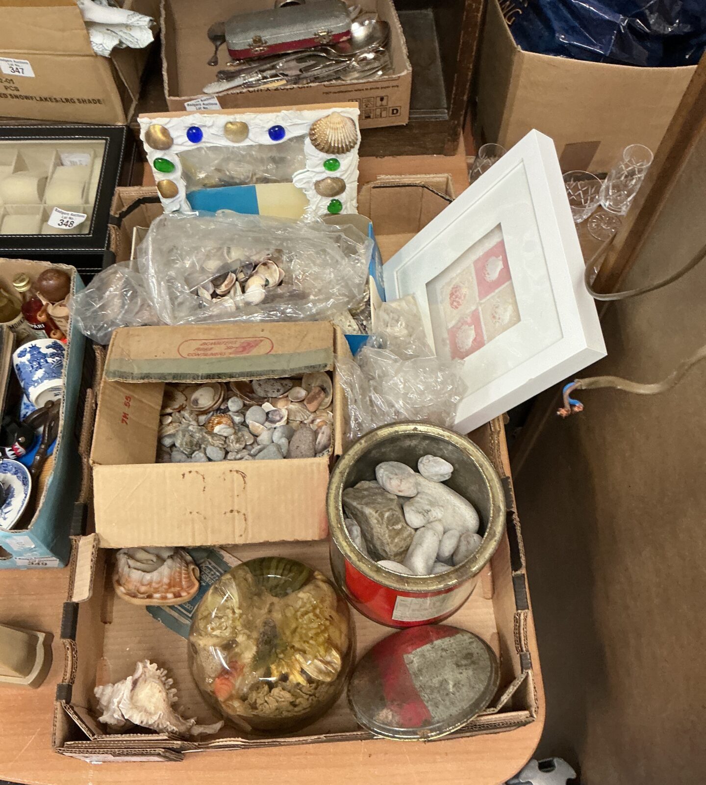 Box of sea shells and pebbles – Badgers Auctions