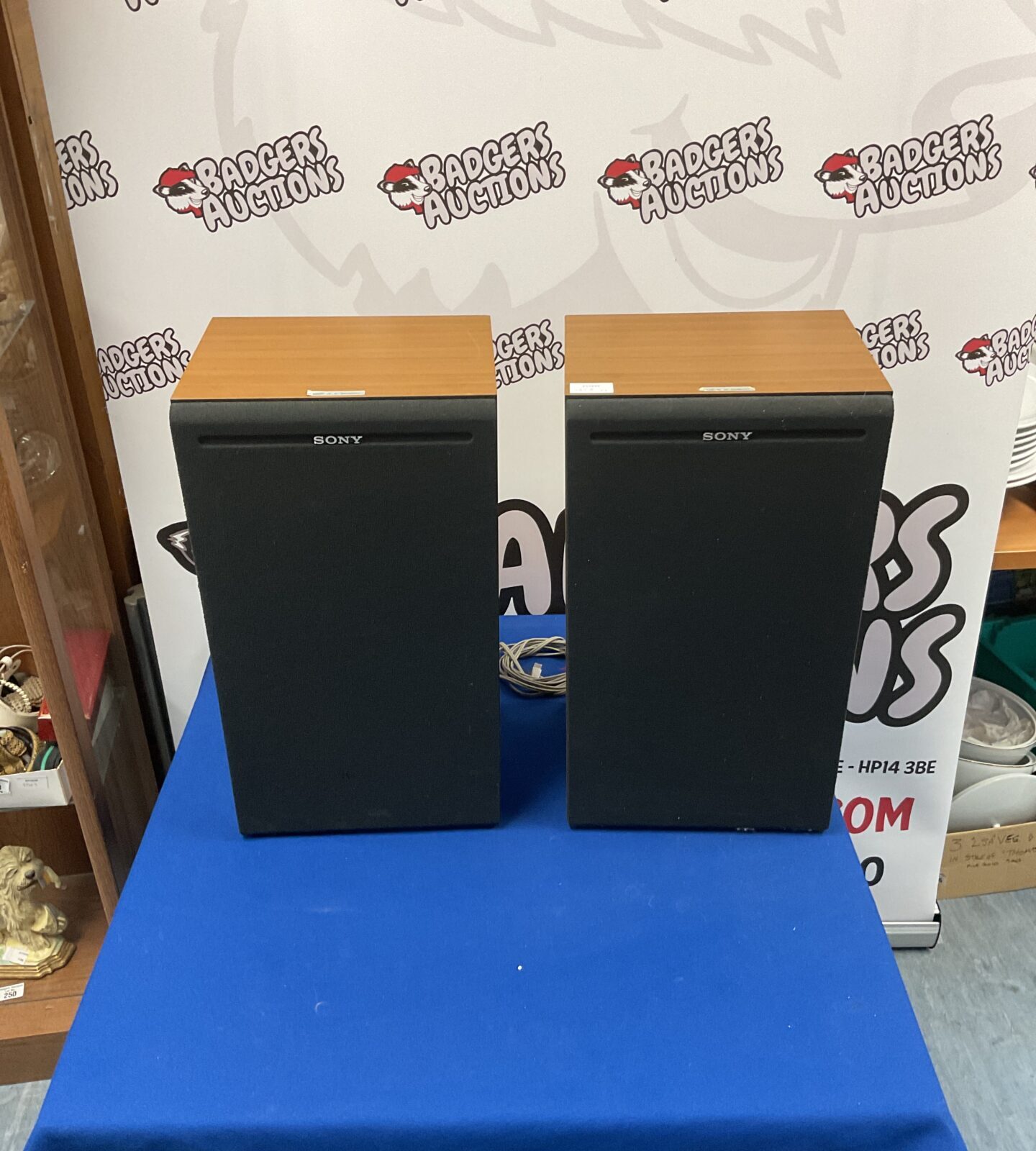 Pair of Sony SS2030 speaker systems – Badgers Auctions