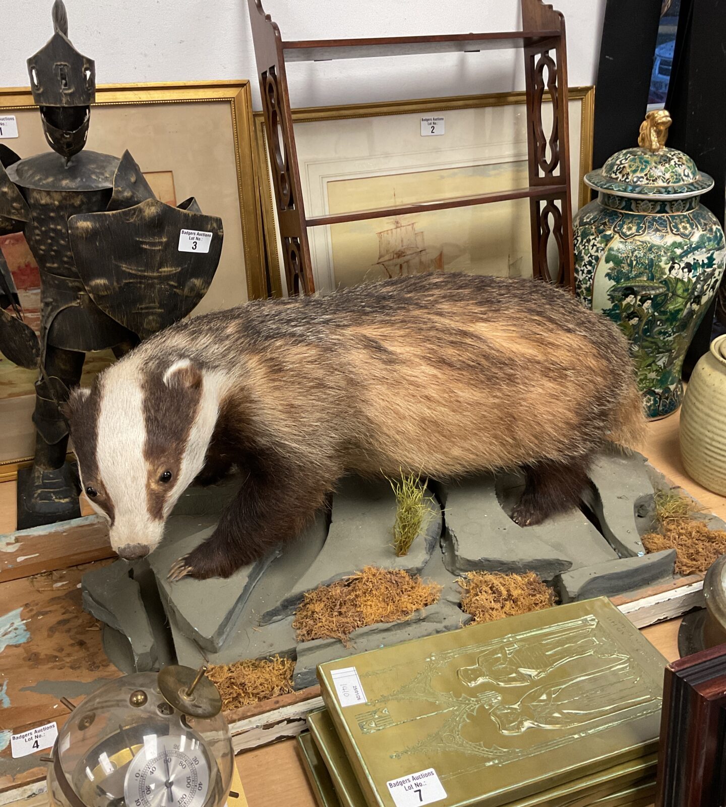 Vintage male taxidermy badger – Badgers Auctions